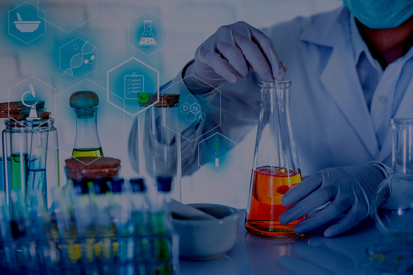 Safety Testing - TIBD Co., Ltd.