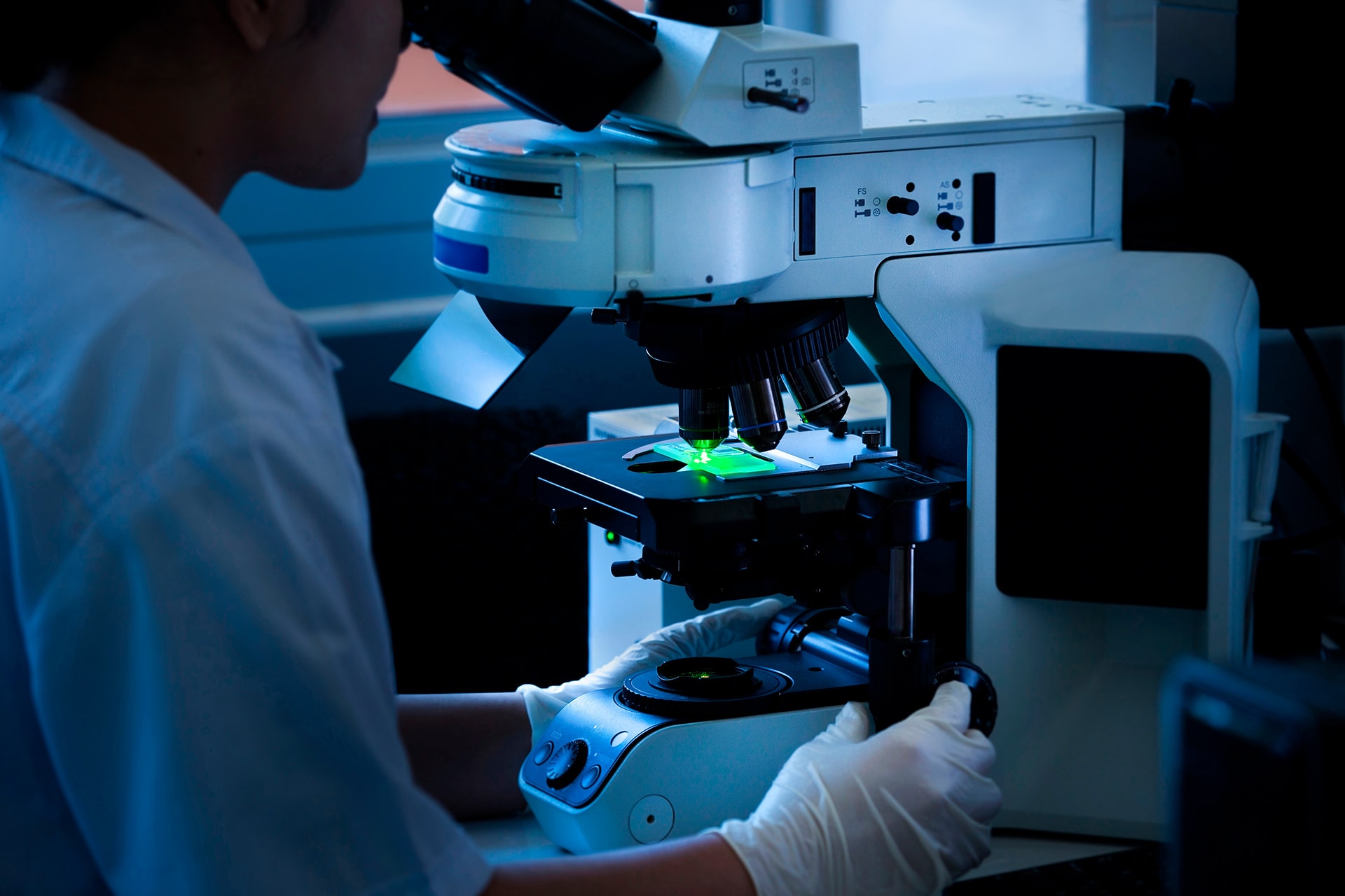 Fish Embryo Acute Toxicity Test - TIBD Co., Ltd.