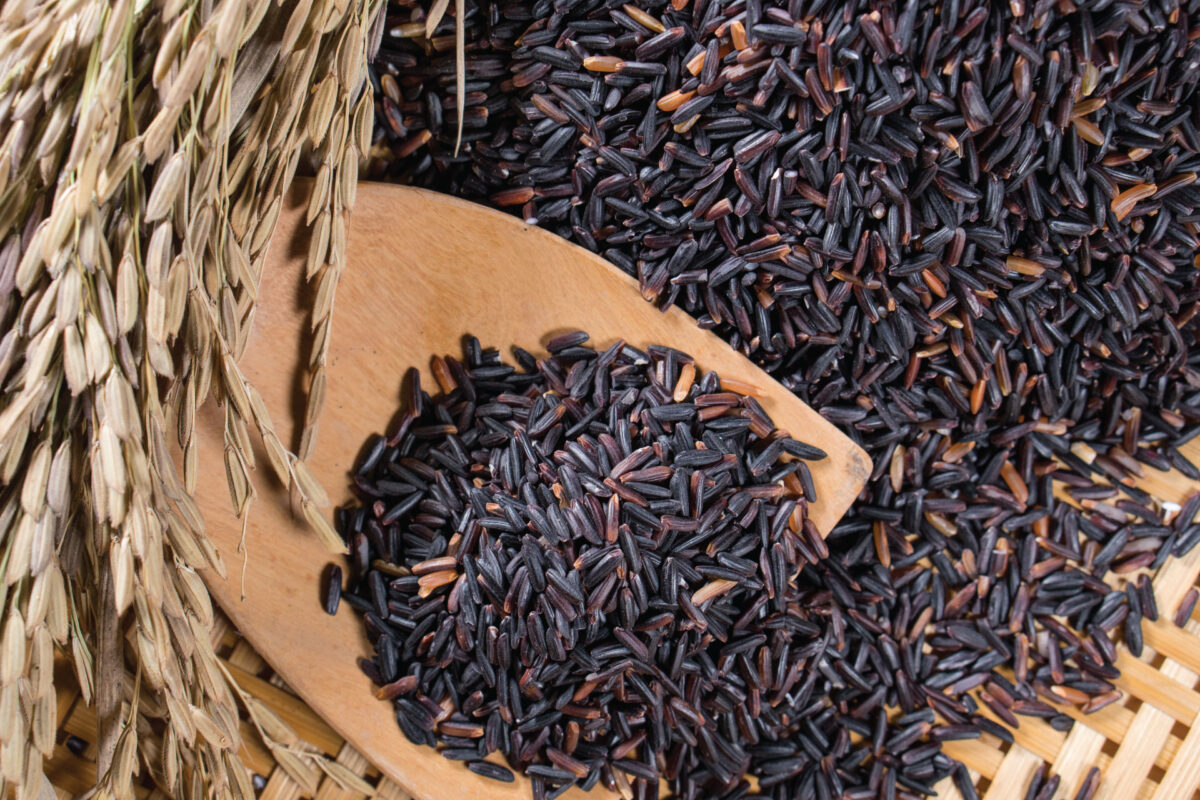 Ricberry Rice Bran Oil - TIBD Co., Ltd.