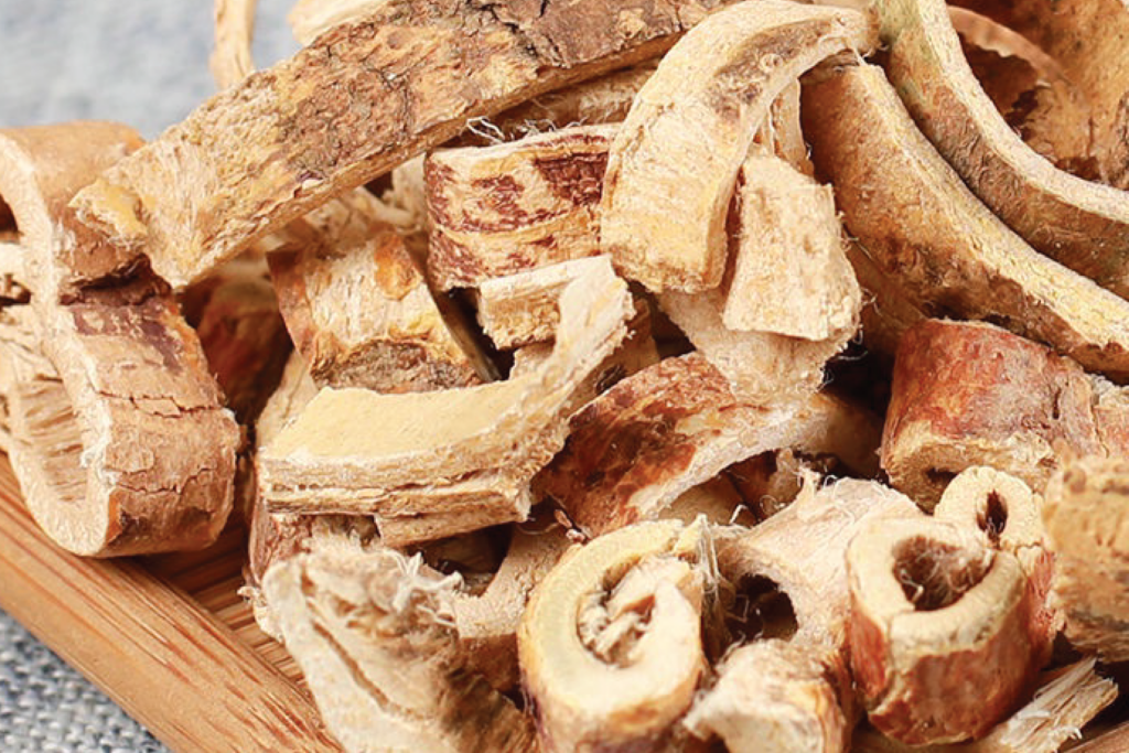 White Mulberry Root Extract - TIBD Co., Ltd.