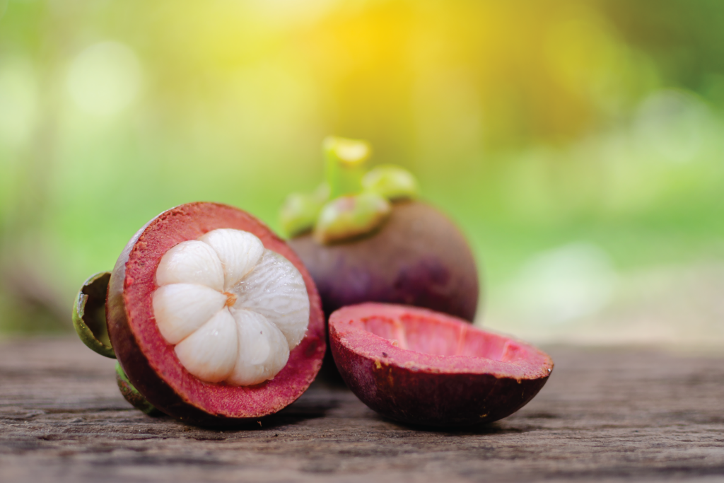 Xanthone Prickly Pear Oil Nanoemulsion - TIBD Co., Ltd.