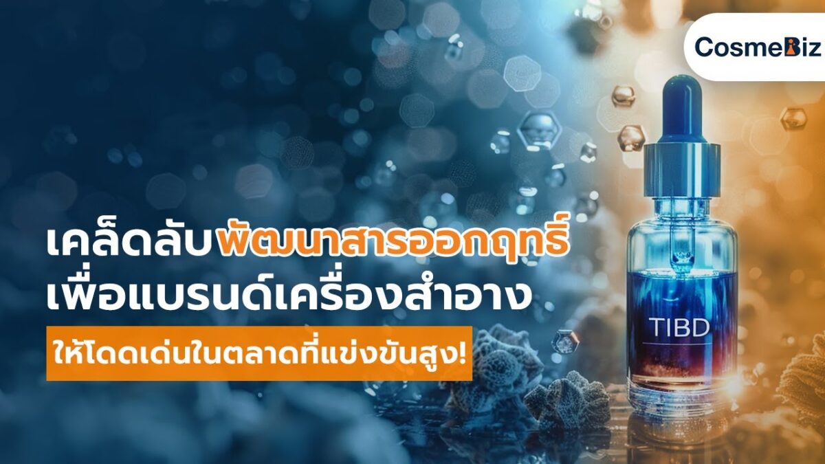 หน้าแรก - TIBD Co., Ltd.