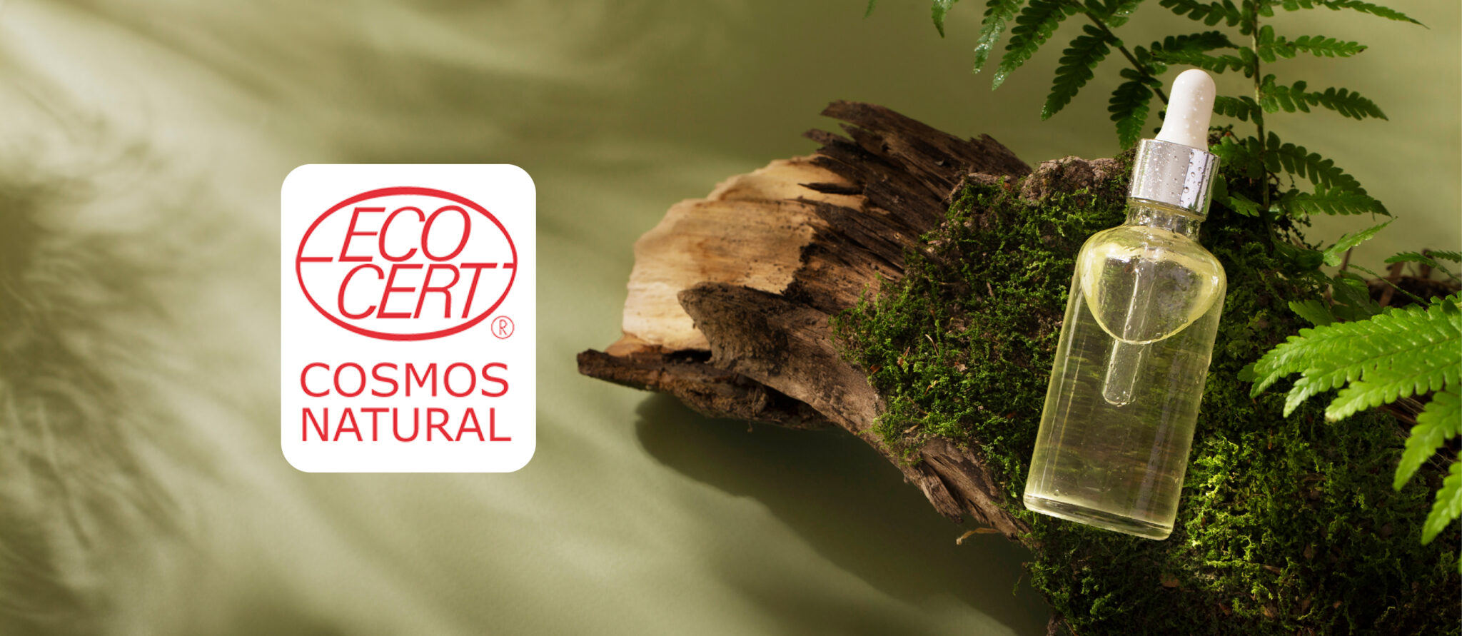 COSMOS Natural Certification Readiness Training Service - TIBD Co., Ltd.