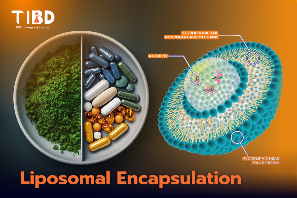 บริการกักเก็บสารด้วยไลโปโซม (Liposomal Encapsulation) - TIBD Co., Ltd.