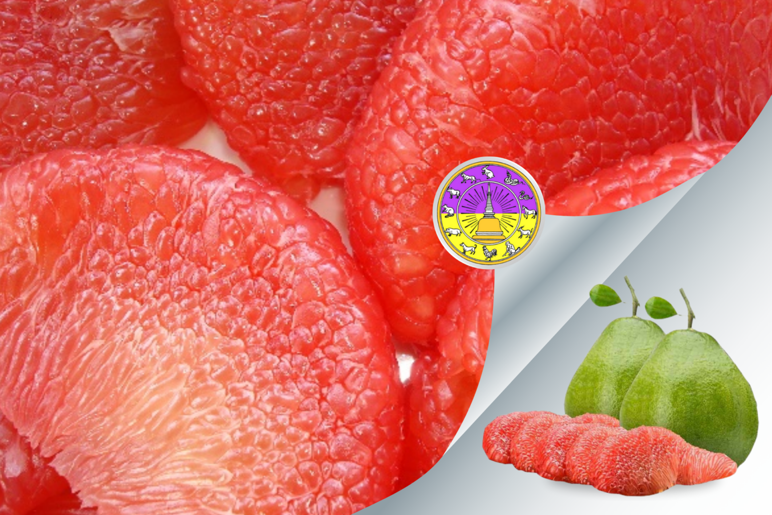 GI (Geographical Indication) Registration in Thailand. - TIBD Co., Ltd.